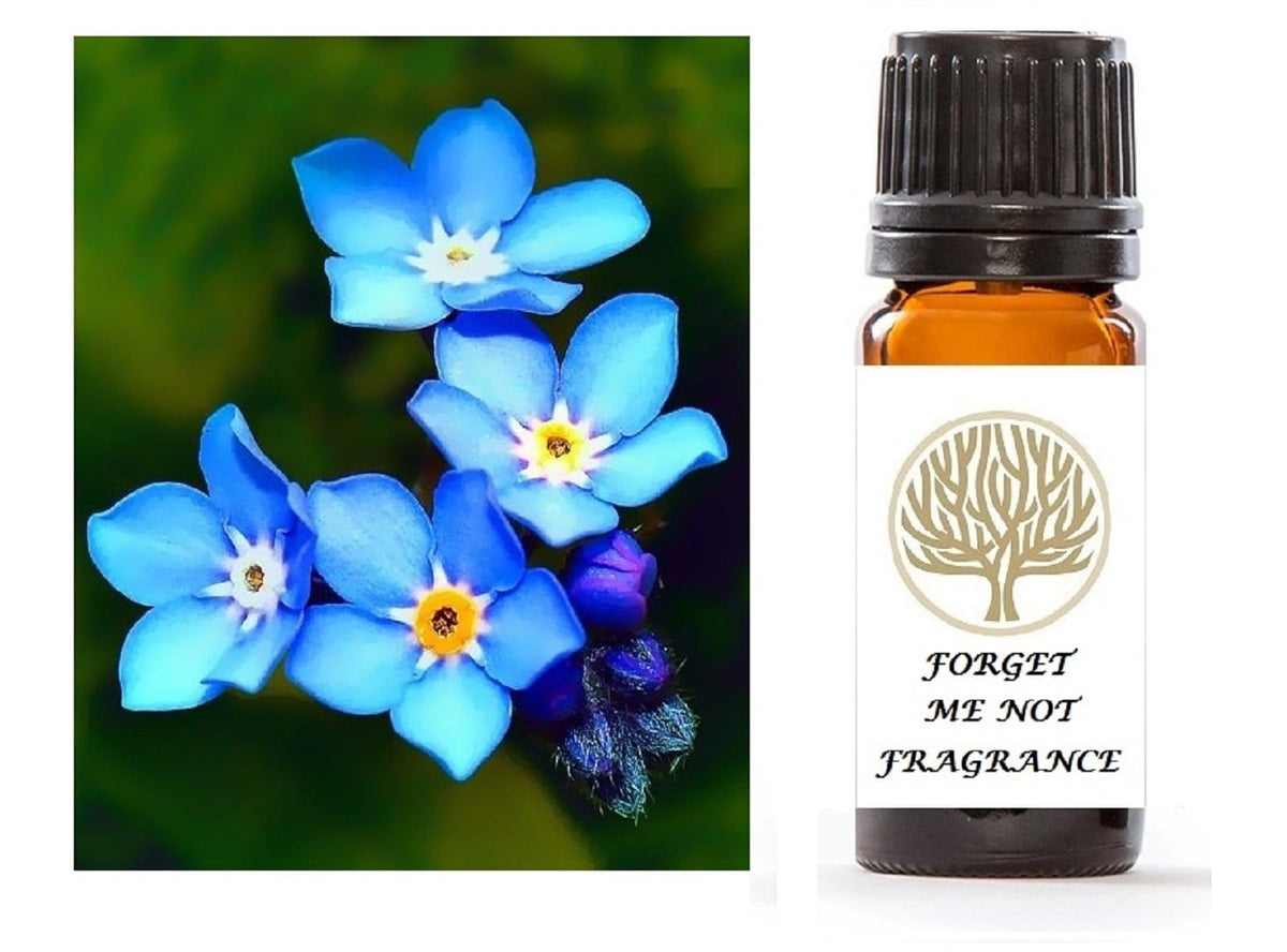 Forget Me Not Fragrance Oil 10ml – EkoFace